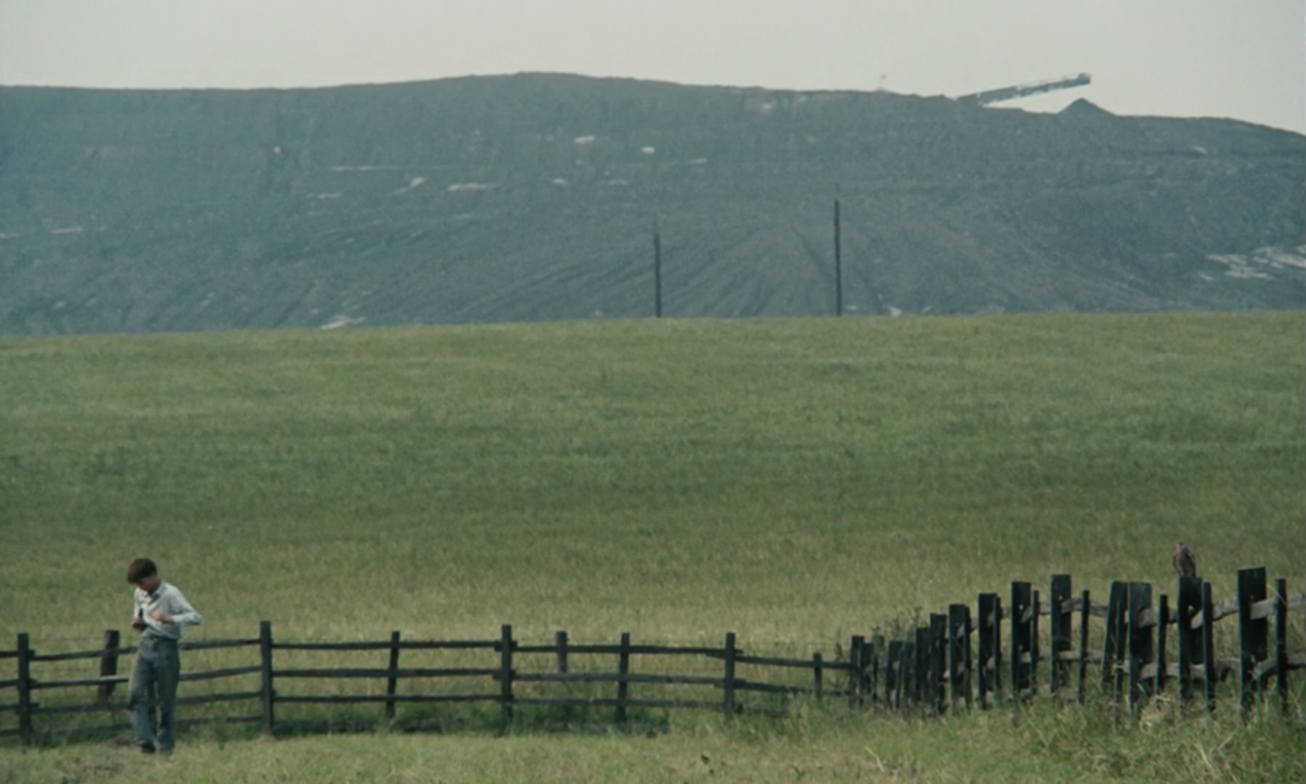 Kes (1969) – Scene by Green