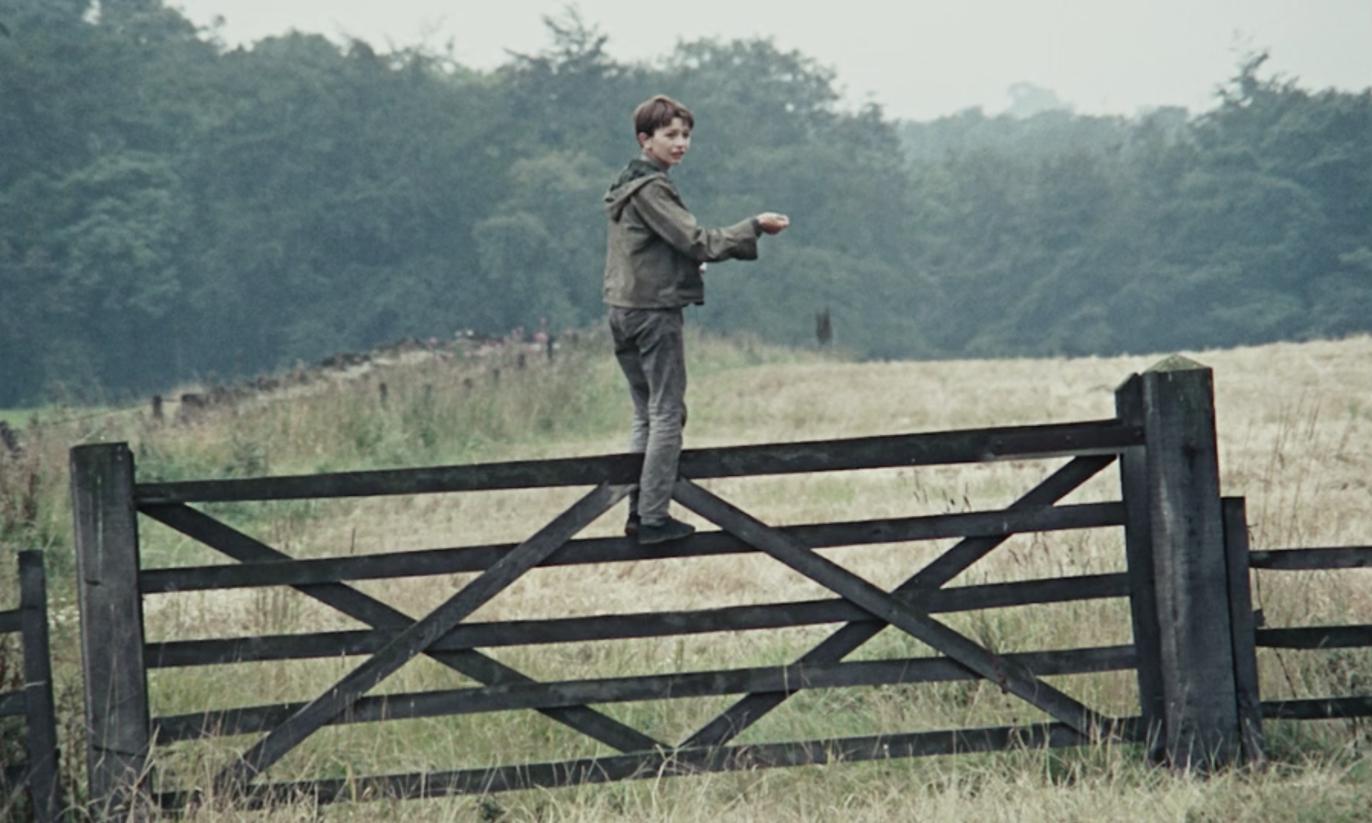 Kes (1969) – Scene by Green