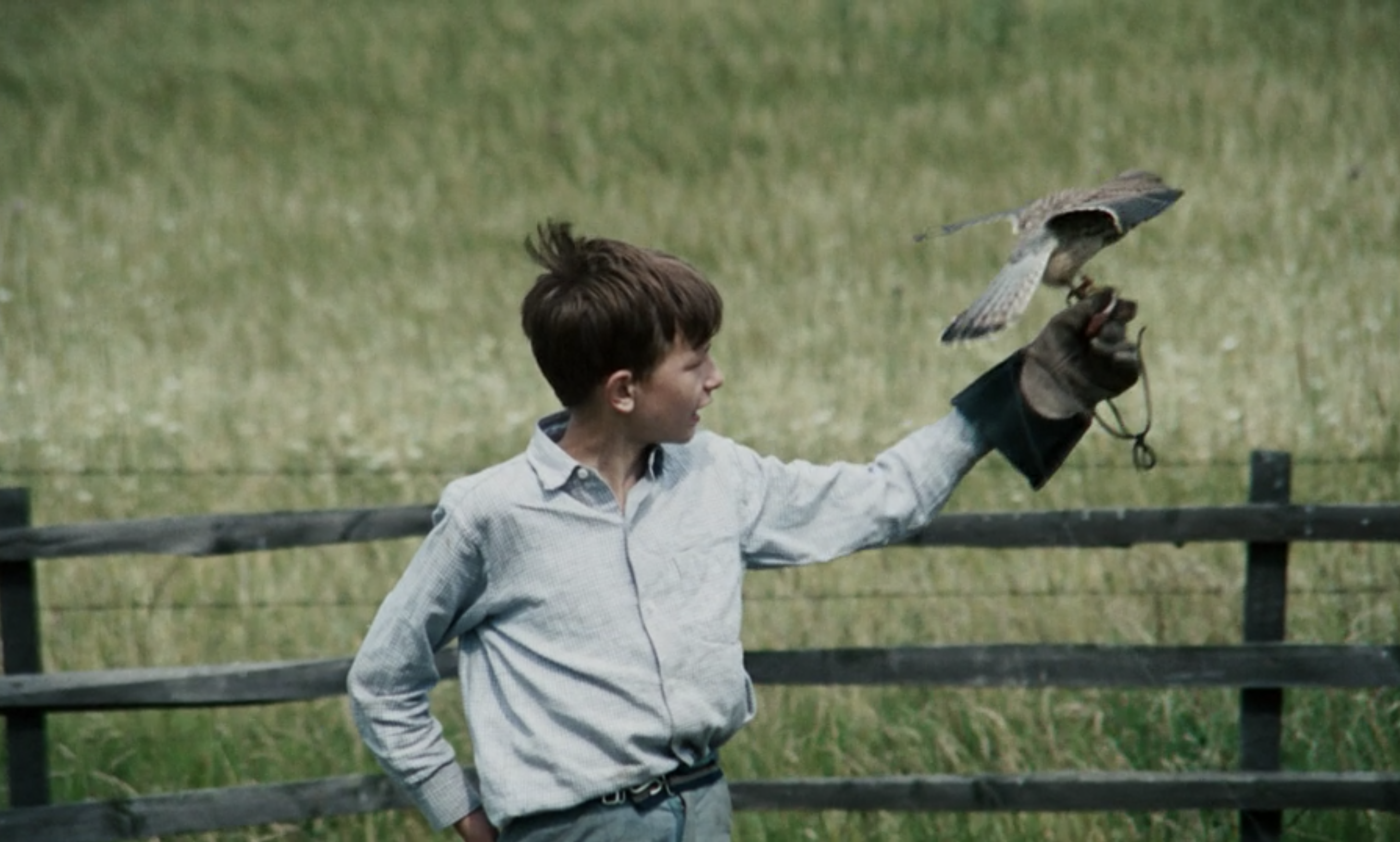 Kes (1969) – Scene by Green