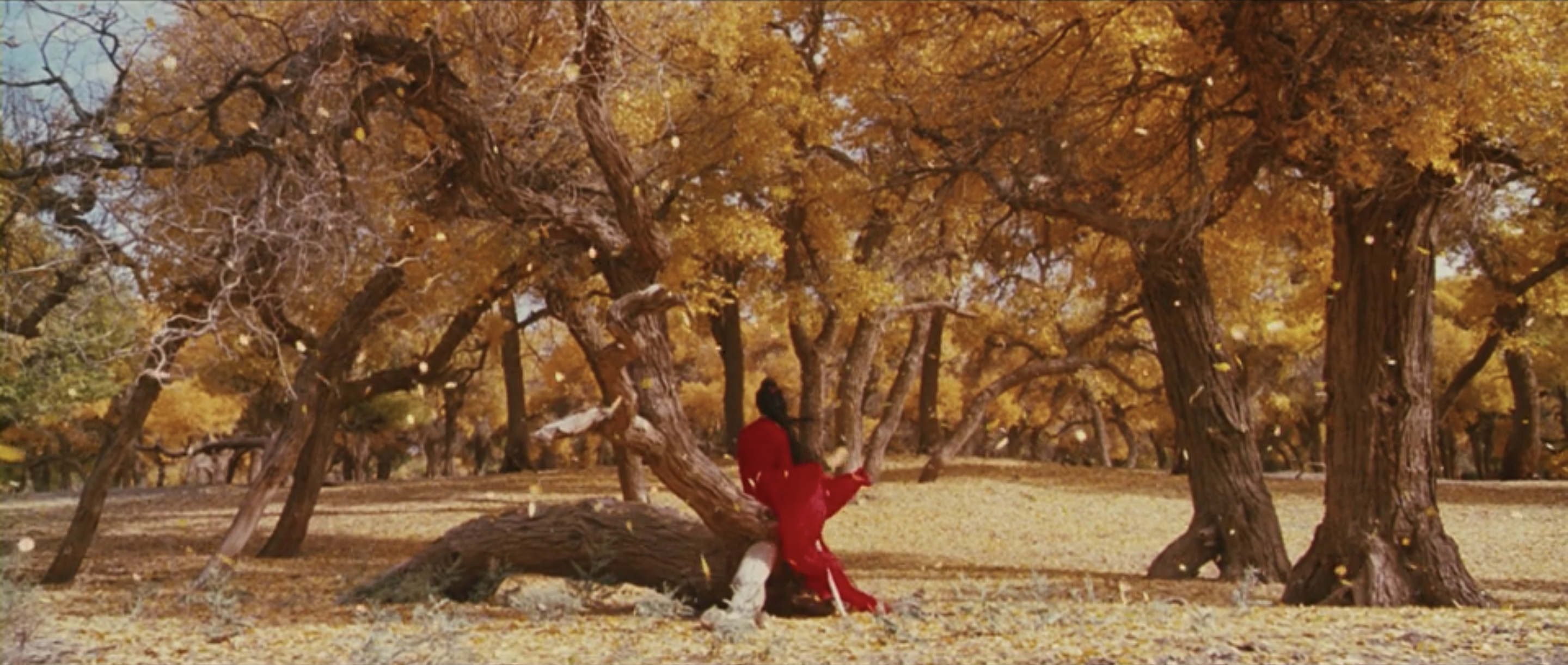 Hero (2002) – Scene by Green