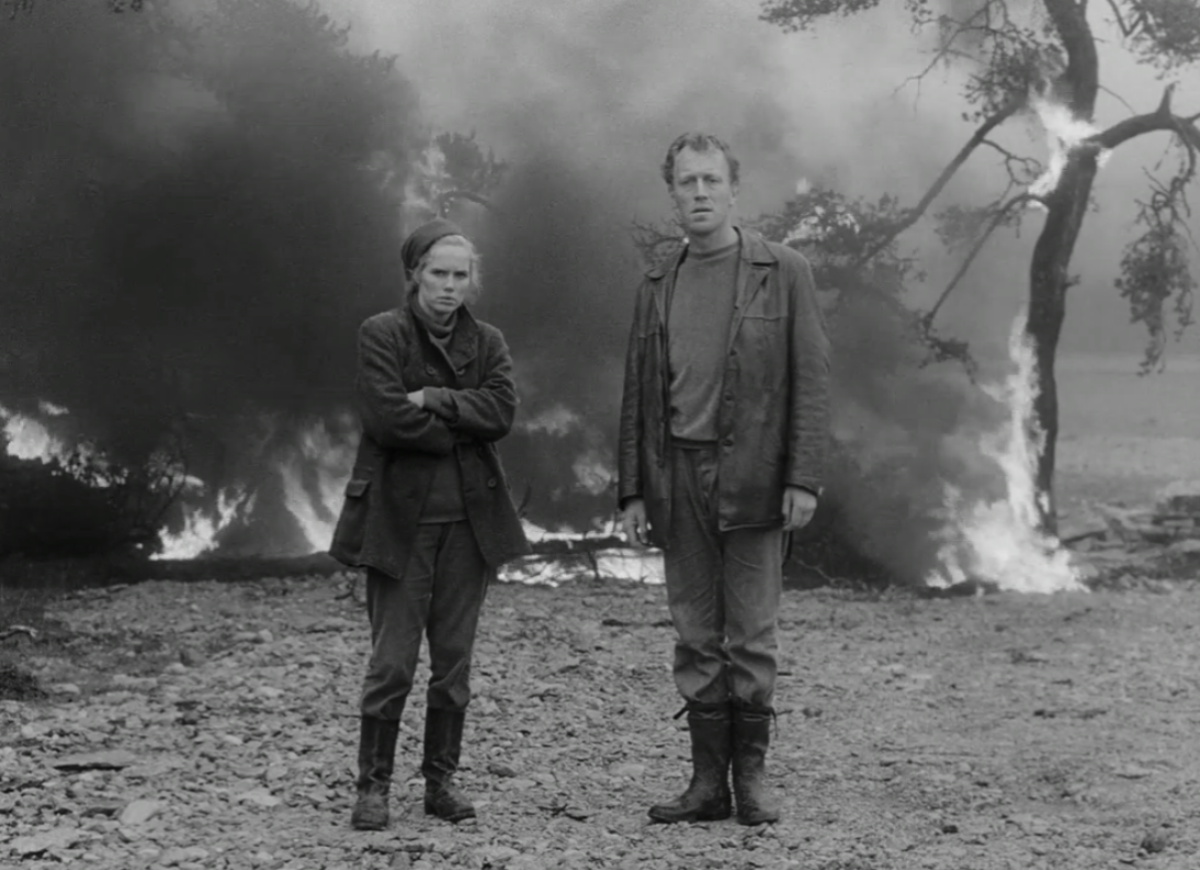 Shame (1968) – Scene by Green