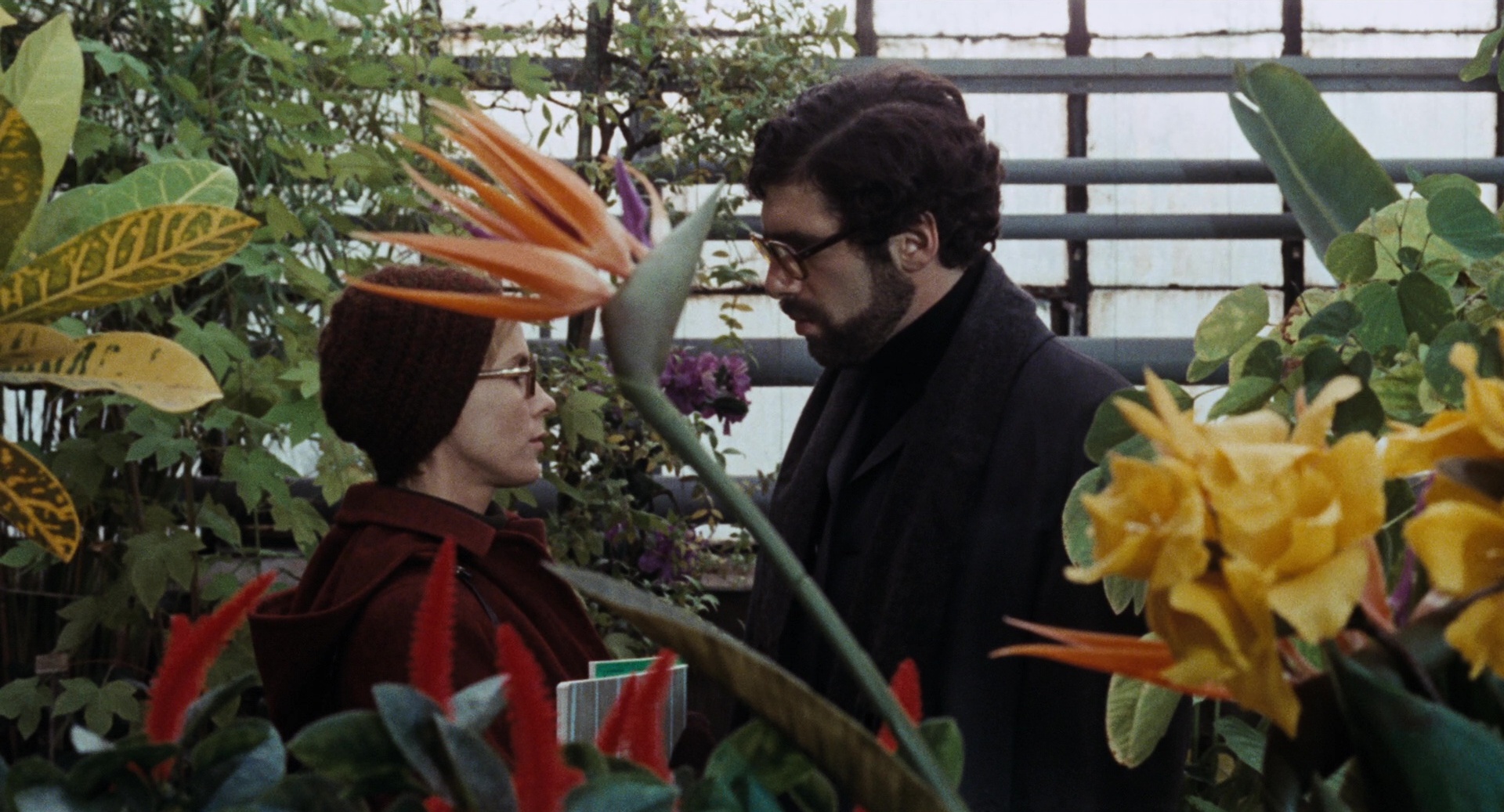 The Touch (1971) – Scene by Green