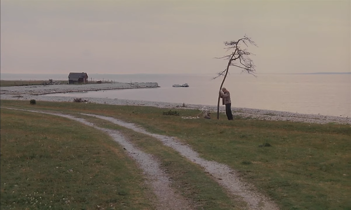 The Sacrifice (1986) – Scene by Green