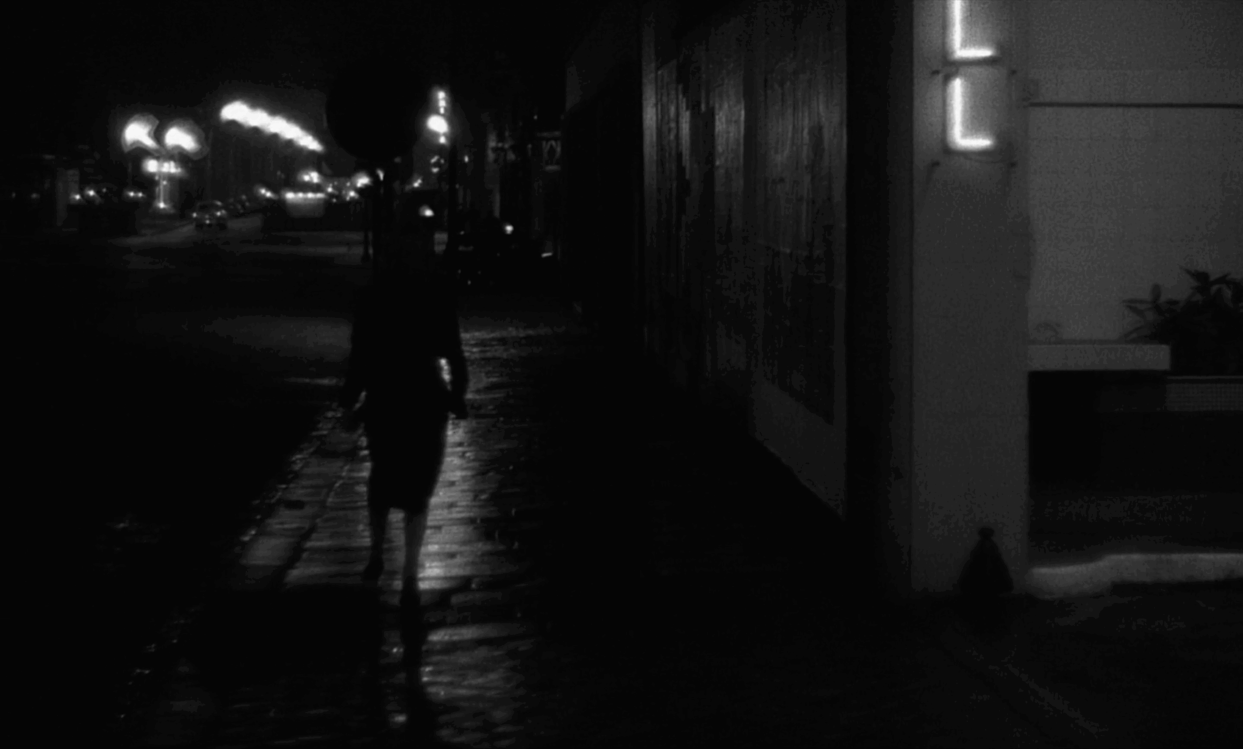 Elevator to the Gallows (1958) – Scene by Green